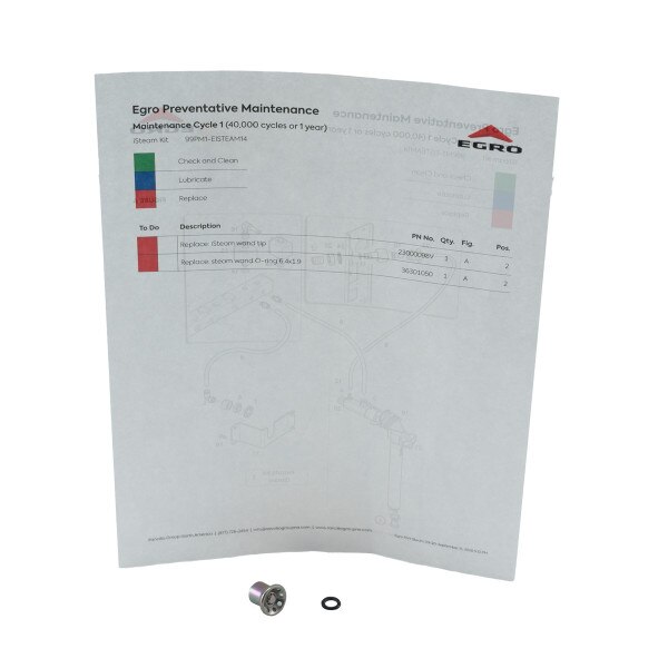 99PM1-EISTEAM14 - Rancilio Group NA Webstore